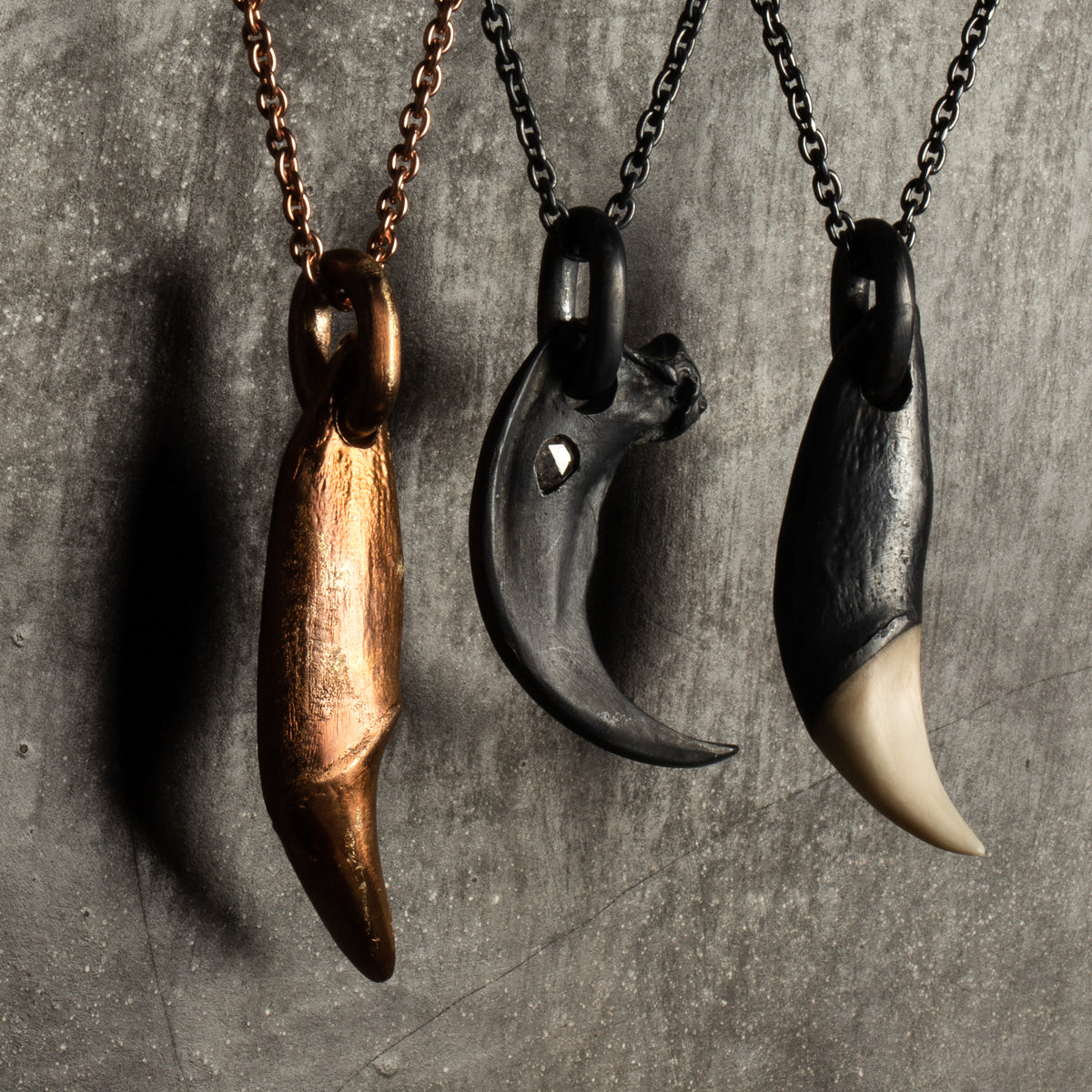 Animal Magic – Parts of Four