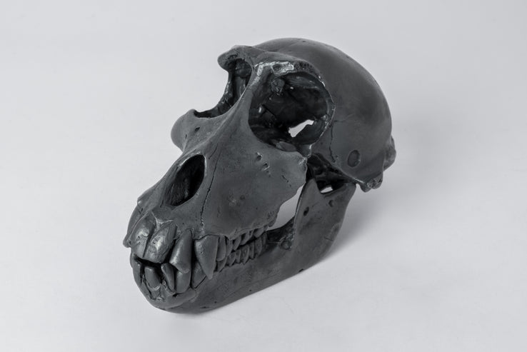 Skulls – Parts of Four