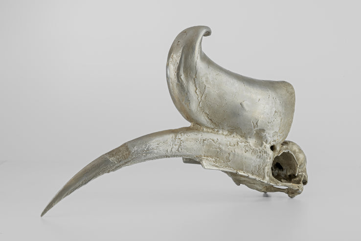 Skulls – Parts of Four